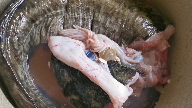 Питерский налим. И "тугунки".