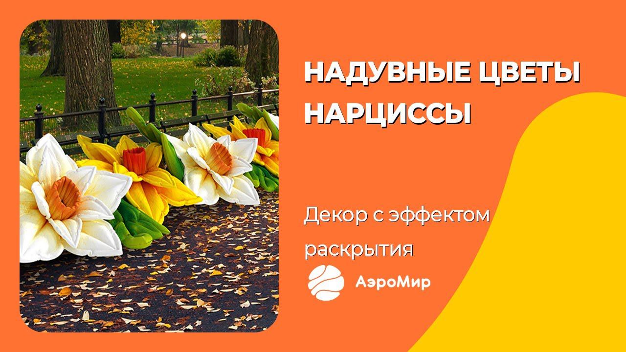 Надувные цветы Нарциссы с эффектом раскрытия | Пневмогирлянда