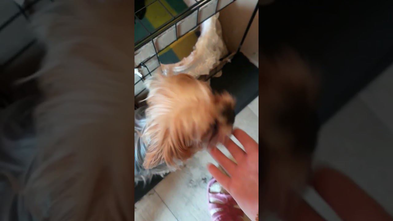 У нас пополнение!