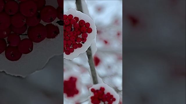 Iphone 13 Pro Max. Фото дневные и вечерние