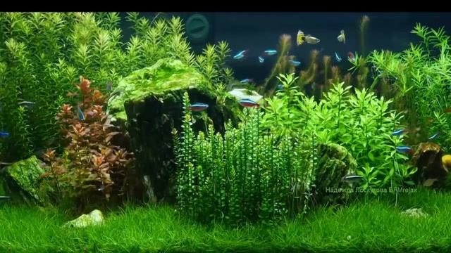 РЕЛАКС музыка для сна, медитации, массажа, расслабления...  3 часа.