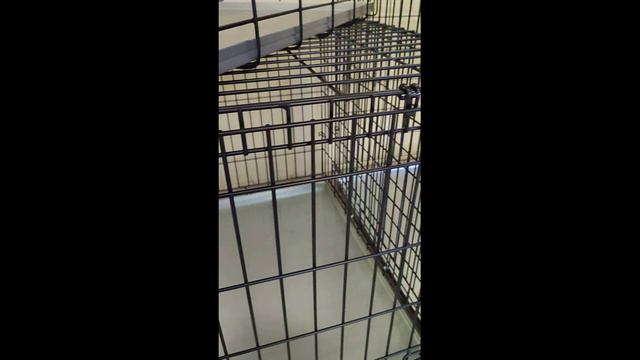 Клетки для собак