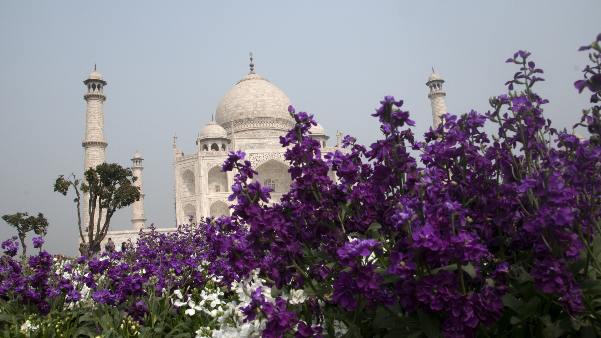 Индийская Инструментальная Музыка в современной обработке / Hauz Khas - Banaras Baba & Kolkata Kid