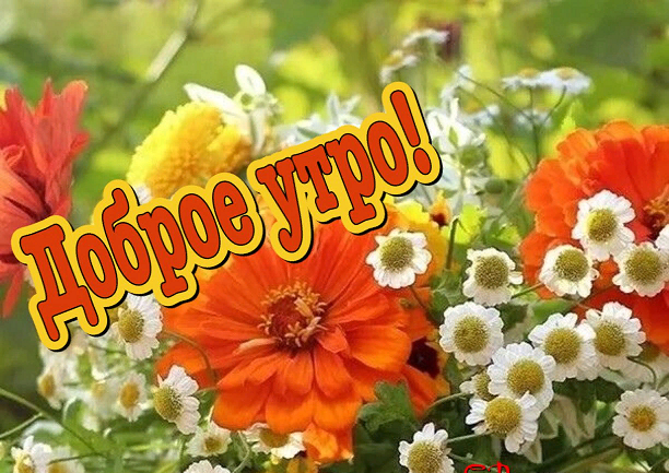 С Добрым Утром ! Прекрасного Дня и отличного вам Настроения !