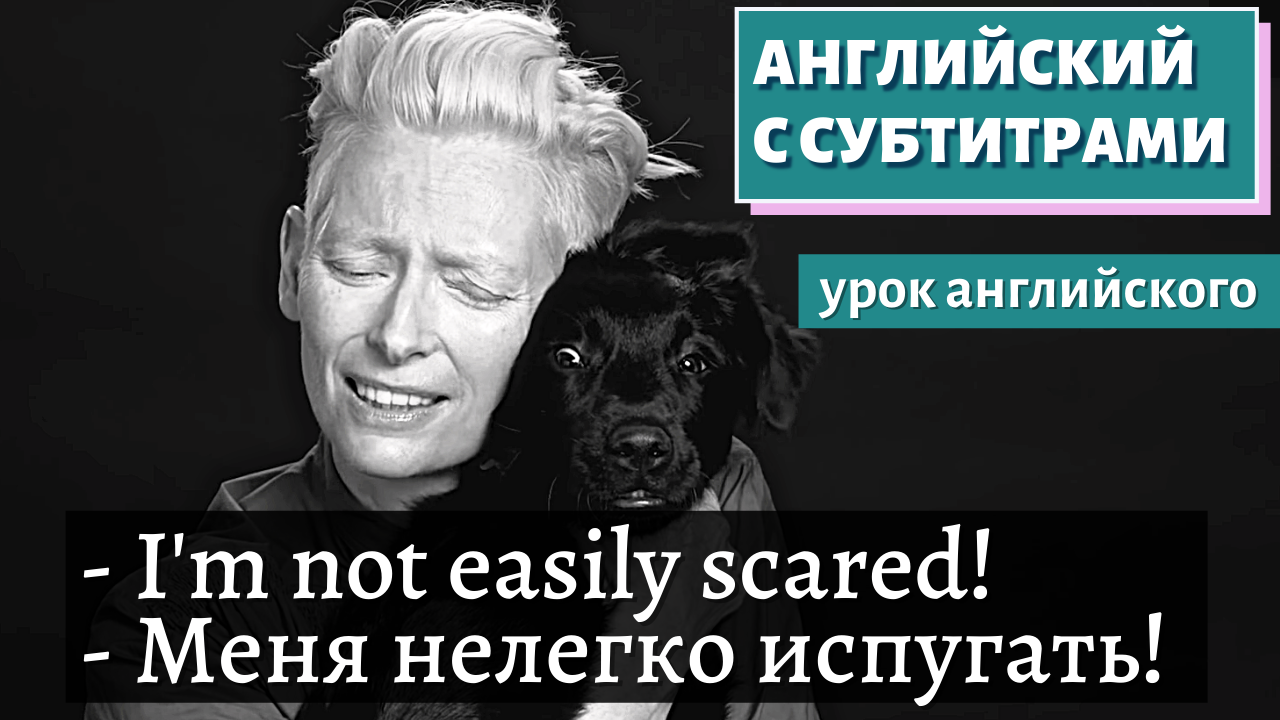 АНГЛИЙСКИЙ С СУБТИТРАМИ -Tilda Swinton Cuddles Puppy While Talking Secret Skills and School Uniforms