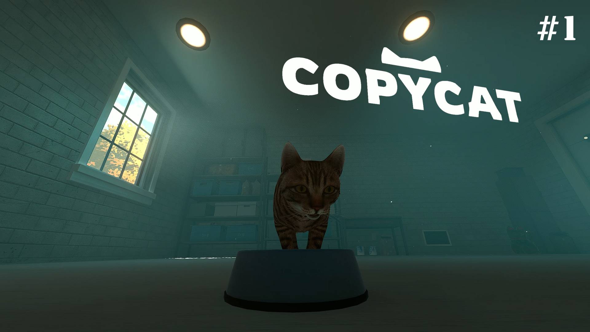 БЮДЖЕТНЫЙ STRAY - Copycat #1 (2K, БЕЗ КОММЕНТАРИЕВ)
