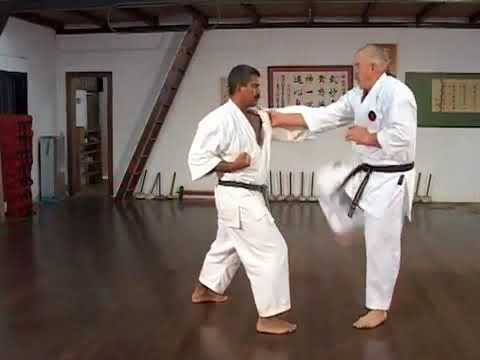 Sensei Bakkies Laubscher DVDVol6promo