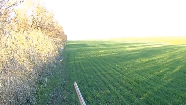 ОТКРЫТИЕ НА ЗАЙЦА 2018 - ПЕРВЫЙ КОСОЙ СЕЗОНА (охота на зайца - сезон осень.mp4