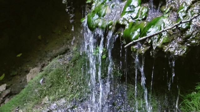 ДОУ № 113, Природные памятники Чувашии