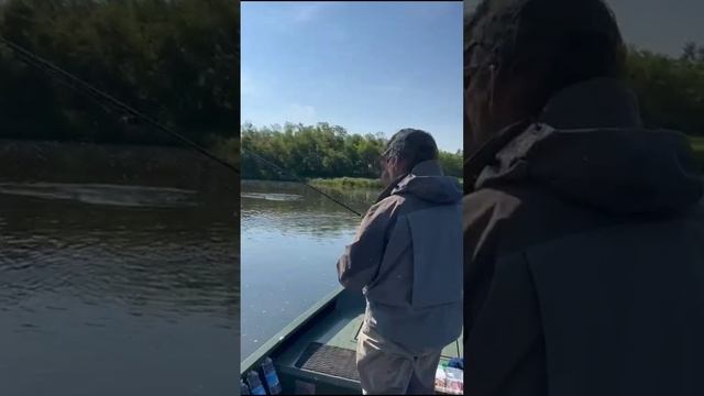 Ловля кунджи на воблер 80 мм (13 гр) от Mr. Musurok