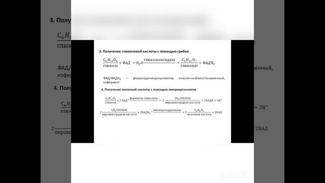 АК Биологическое практика 3