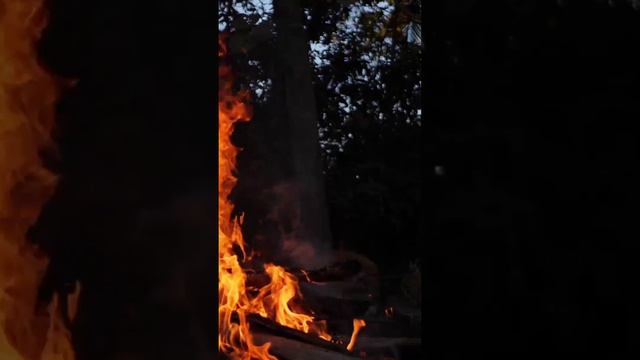 Расслабляющее асмр видео, ночные звуки природы в лесу и треск дров в костре.