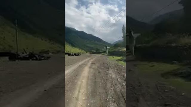 Горный козел вист на проводах