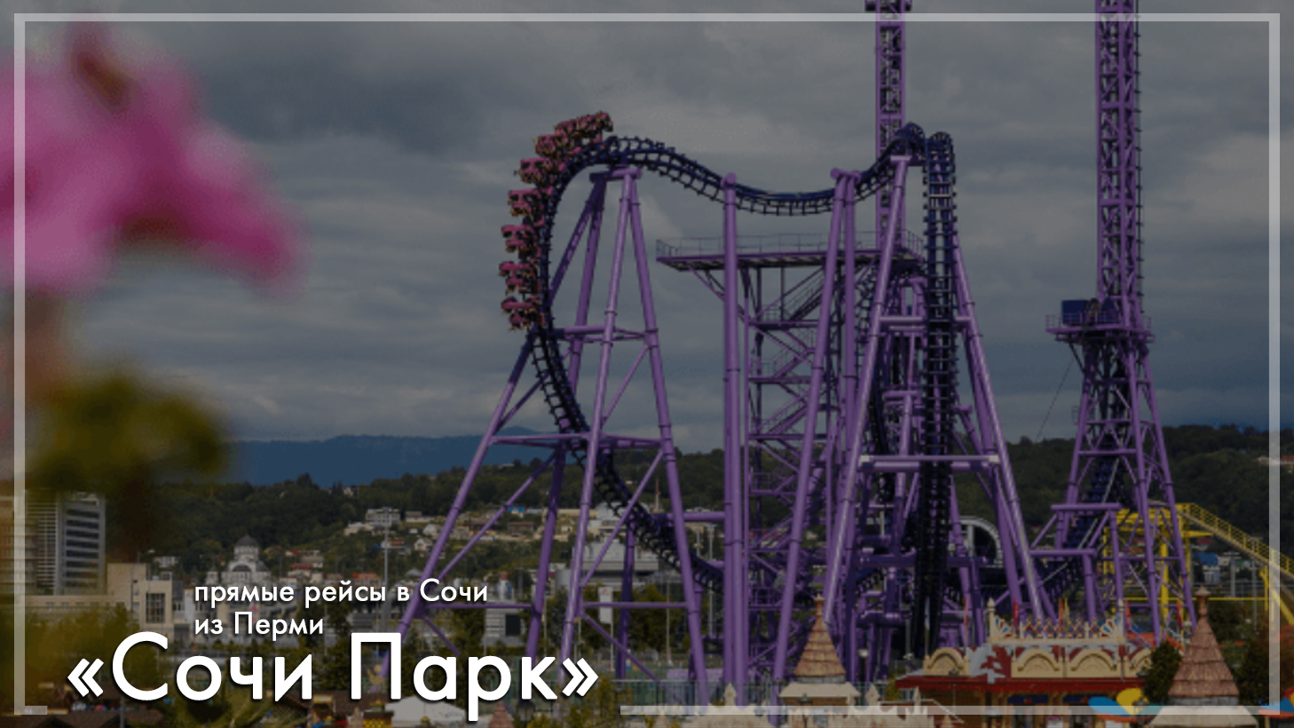 Сочи Парк. Туры из Перми