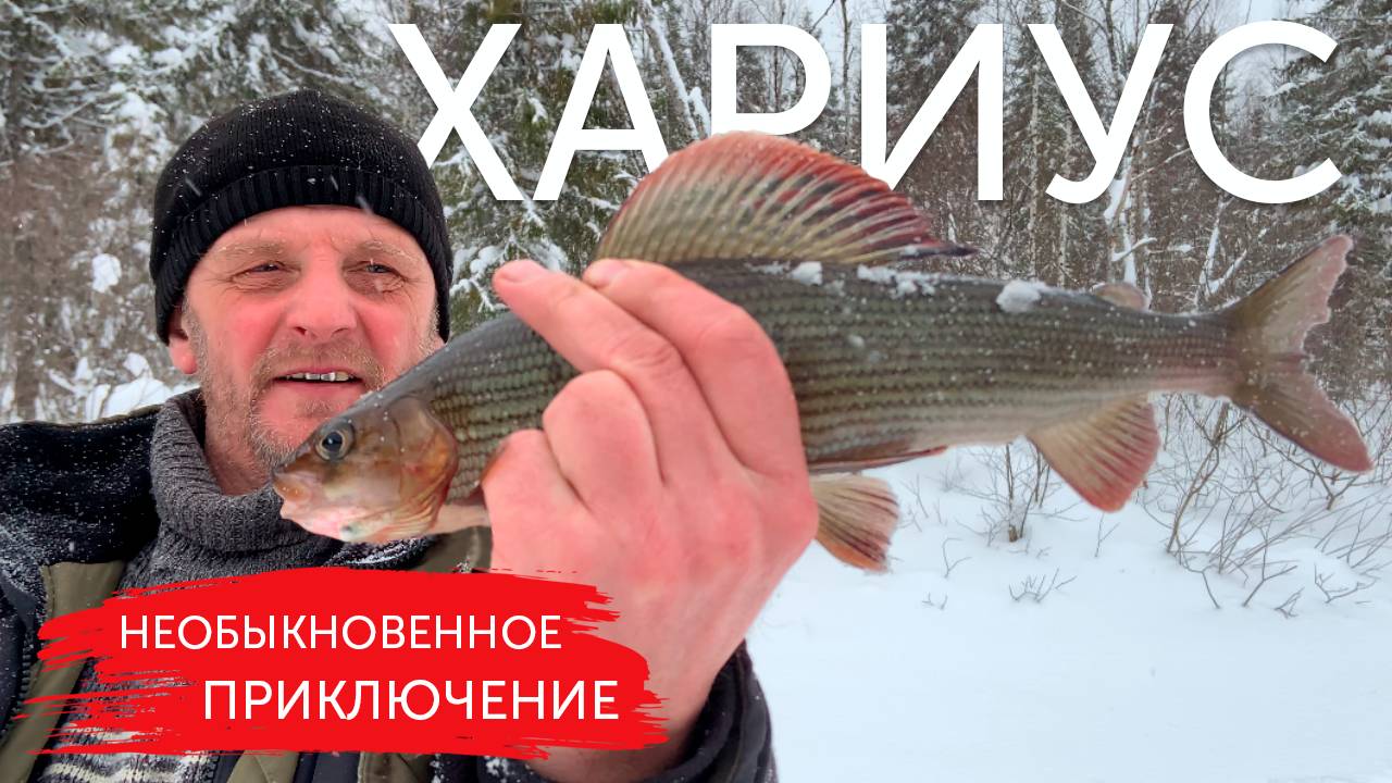 КРУПНЫЕ ХАРИУСЫ! Главное приключение февраля. Таёжная река.