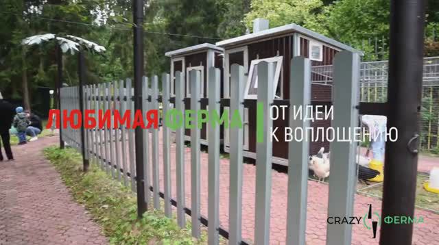 Впервые НОВАЯ ТЕХНОЛОГИЯ выращивания бройлеров в курятнике _Неделя без забот_! Откройте свою ФЕРМУ!