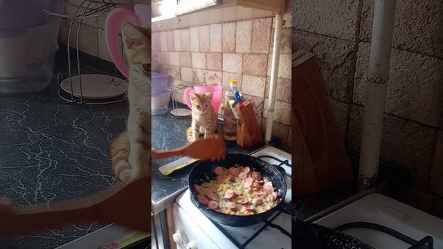 вот так и готовим .mp4