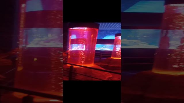 Как же красиво!