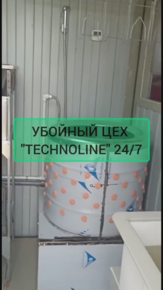 ⚡ЦЕХ ПО УБОЮ «TECHNOLINE» 24_7  птицы на вашем участке! #курятник #убойныйцех #птицеводство #shorts