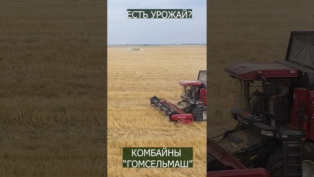 Комбайны ГОМСЕЛЬМАШ | эпизод 3