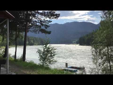 Таймлапс с видом на Катунь. Майминский район