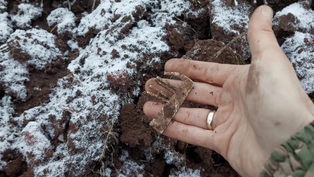 Копаю монеты на старом месте закрываю сезон 2023 года