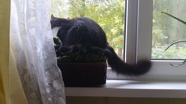 Охота на птиц.