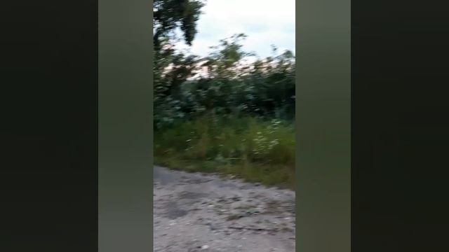 Котлас. Гуляем по городу. Приречный район Кирова и Площадь трёх вокзалов. Речной. Конец июля  2022