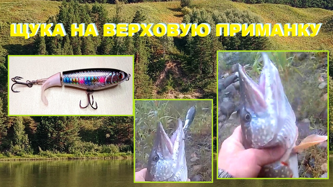 ЩУКА НА ВЕРХОВУЮ ПРИМАНКУ!