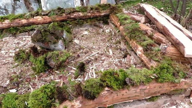 теплый рассадник своими руками