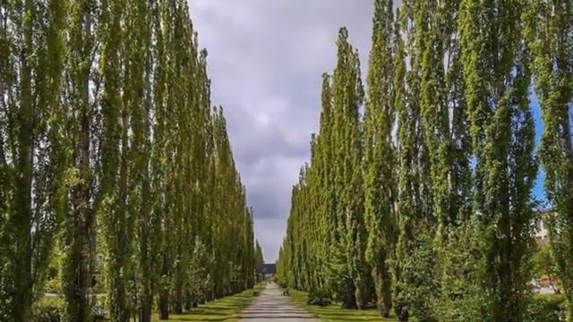 Поздняя любовь Хасан Хубиев Автор видео Нина Рудакова