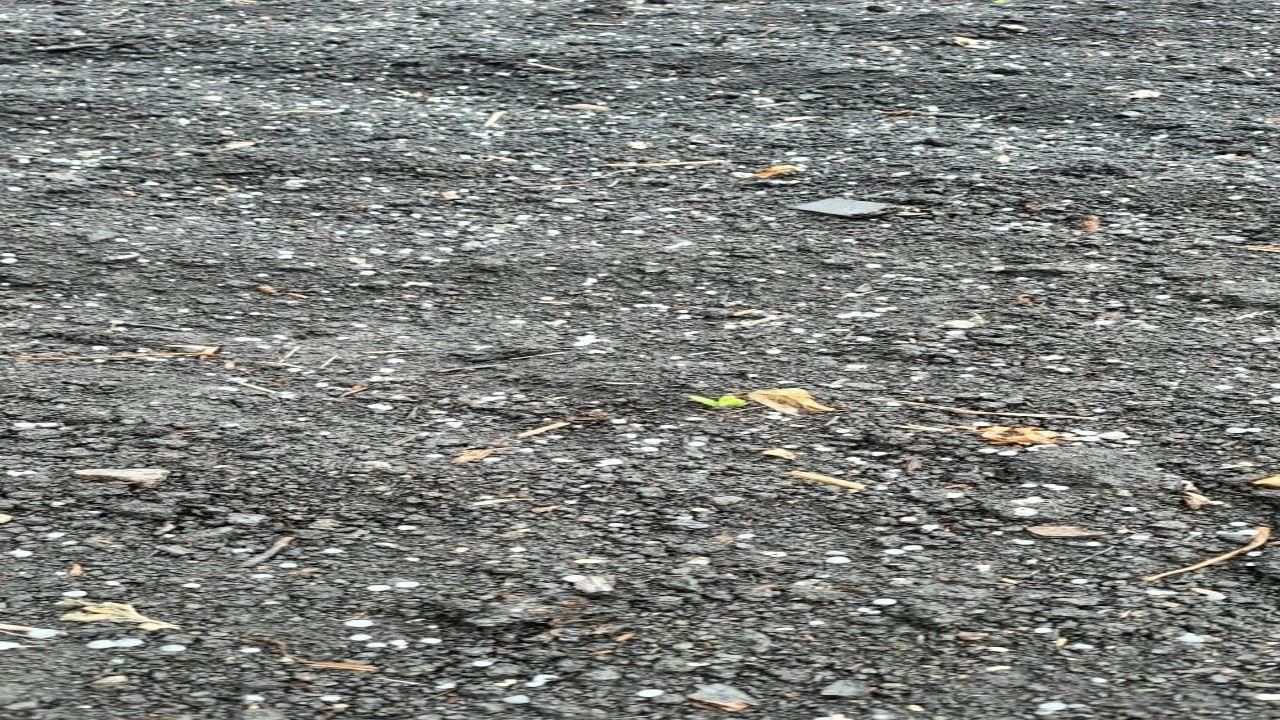 ГРАД, ЗАМОРОЗКИ   И СИЛЬНОЕ ПОНИЖЕНИЕ  ТЕМПЕРАТУРЫ В ИЮНЕ ОБЗОР ТОМАТОВ, ПЕРЦЕВ , АРБУЗОВ , ОГУРЦОВ