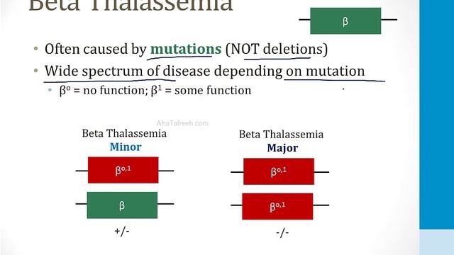Гематология USMLE - 2. Эритроциты - 5.Талассемии