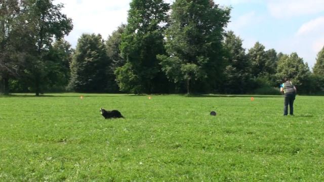 Кубок Клуба 2017 Татьяна и Эри.mp4