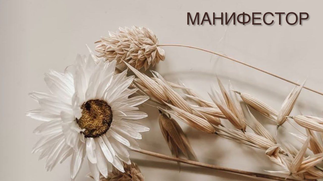 МАНИФЕСТОР 9% всех людей