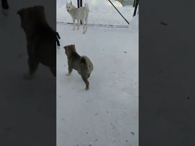 Наши малыши(1)