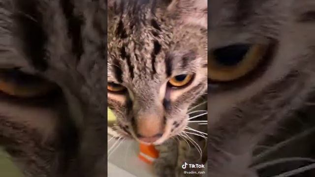 Пол восьмого вечера , а на улице светло