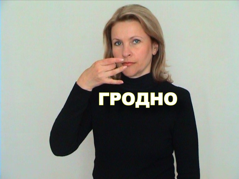 ЖЕСТОВЫЙ ЯЗЫК. СЛОВАРЬ. Гродно