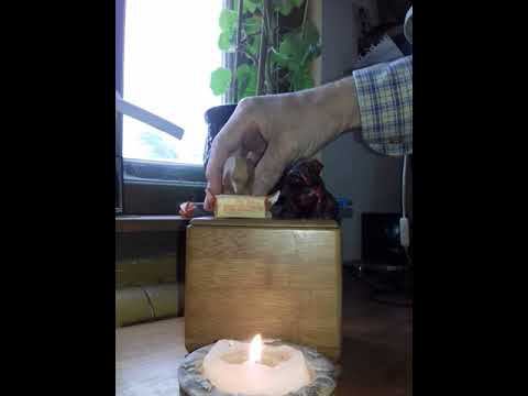 Я бы на ее месте забеременела от тебя, а через 10 лет появилась с мальчиком Им19