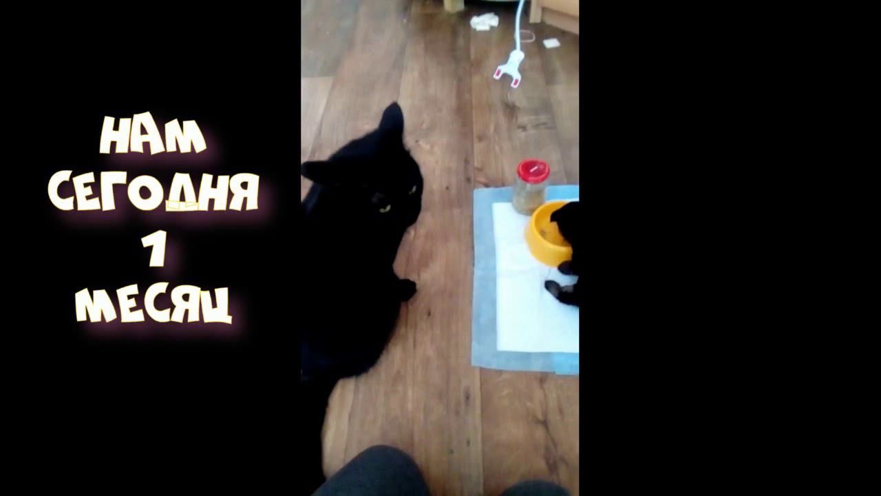 Наши крошечки#shorts