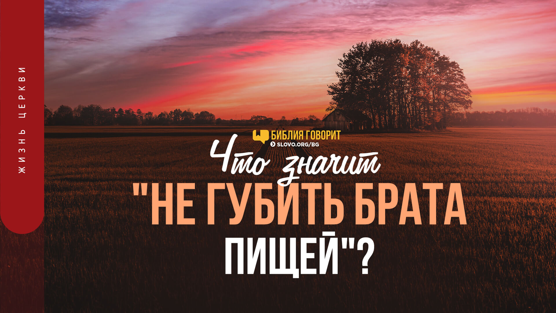 Что значит «не губить брата пищей»? | "Библия говорит" | 1475