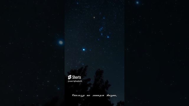 Сжигая мысли_Йена Чиж#shorts #стихи #природа #любовь #любовные письма