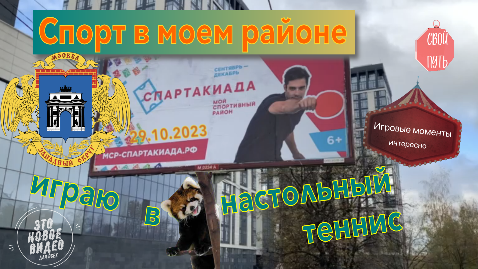 Мой спортивный район. Спартакиада. Настольный теннис #game  #shatennipo #tennis #sports #ball #fun