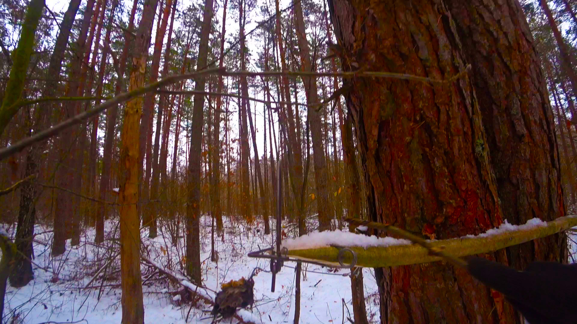 ОХОТА НА КУНИЦУ. ЗАМОРОЖЕННЫЕ КАПКАНЫ