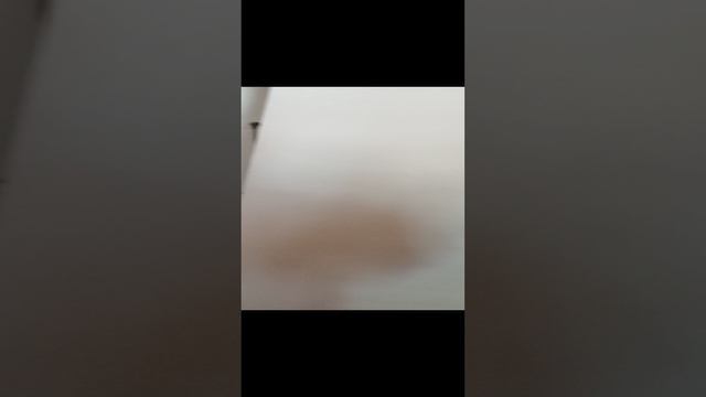 ГД Радуга(номер 3+1, окна во двор,2 этаж)