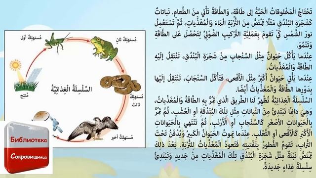 Муха летела над прудом.mp4