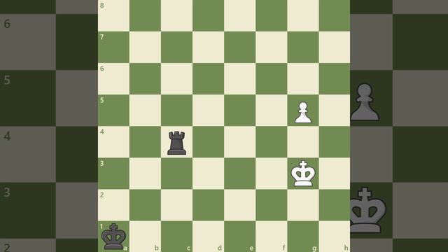 Основы ладейных окончаний