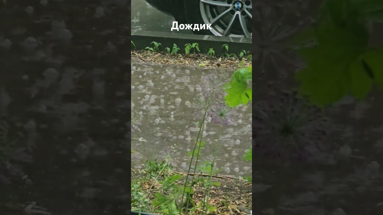 Дождик #дождь