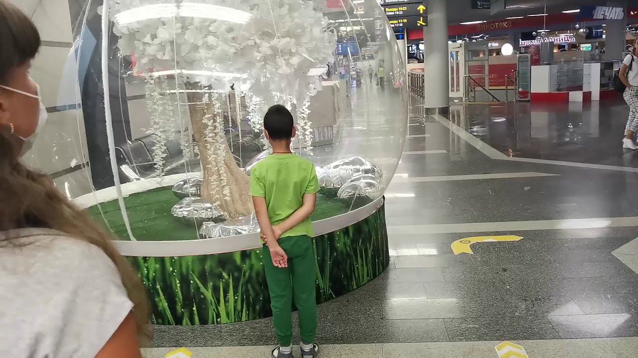 Летим из Сочи в Нижний Новгород авиакомпанией Red Wings. Airbus A321. Рейс WZ811