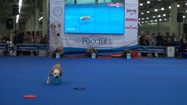 Показательные выступления Татьяна и Соня